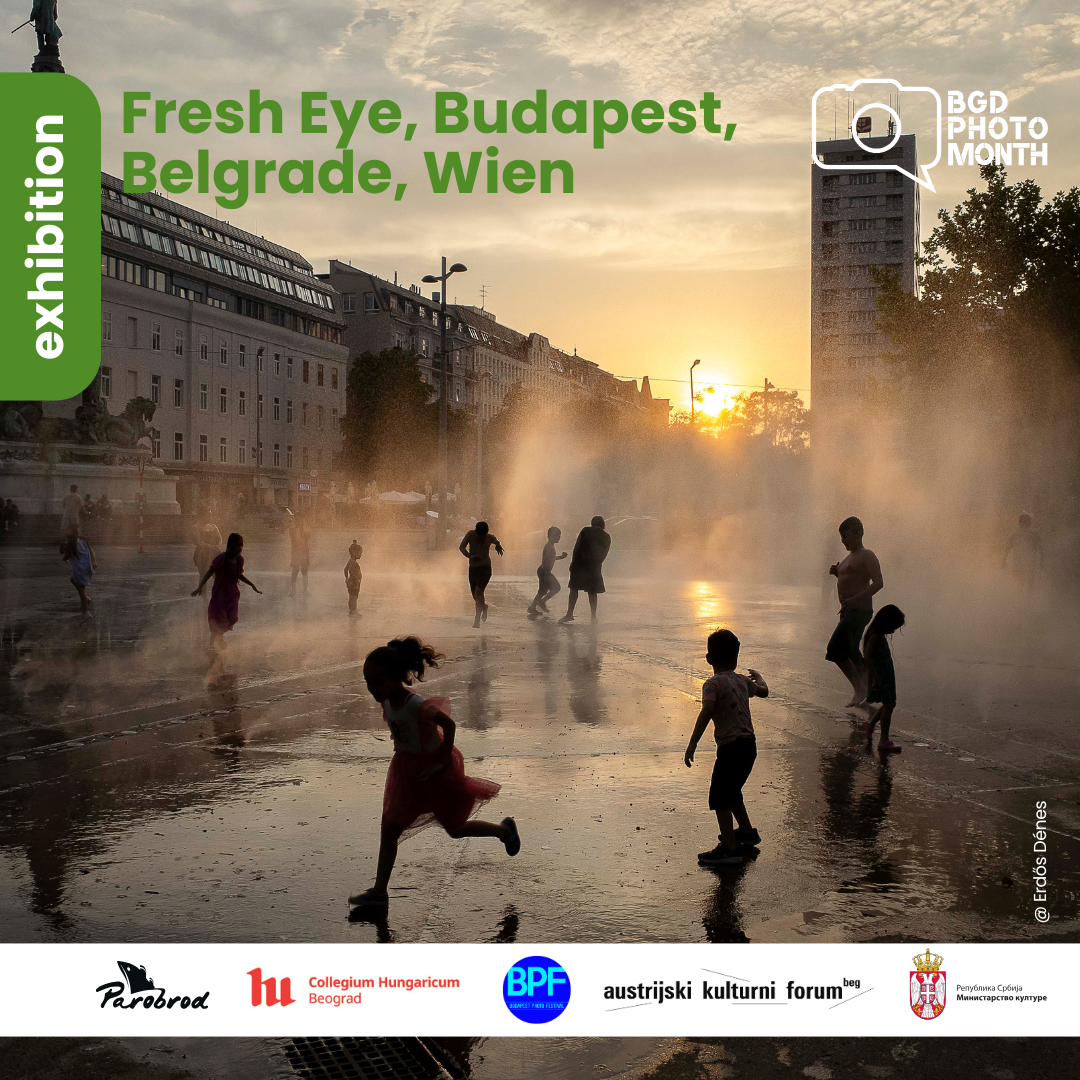 Групна изложба "Fresh Eye-Budapest, Belgrade, Wien" - UK PAROBROD